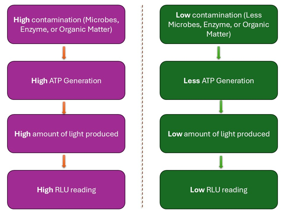 Understanding ATP Bioluminescence in Food Safety – NextGen AgriFood ...